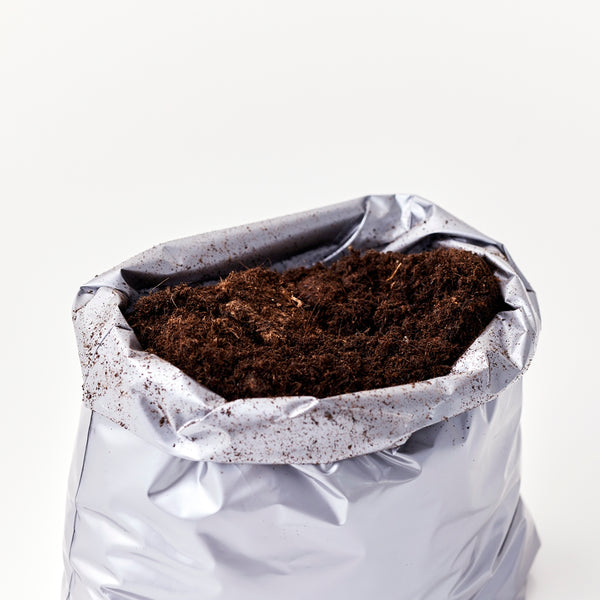 アンスリウム専用の土 1.3L 4号鉢を5号鉢に, 5号鉢を6号鉢に鉢上げ 植え替え